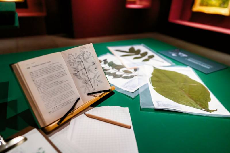 OCAC.R.O.C.(TAIWAN) – News