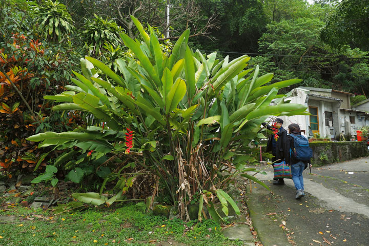 OCAC.R.O.C.(Taiwan) – News